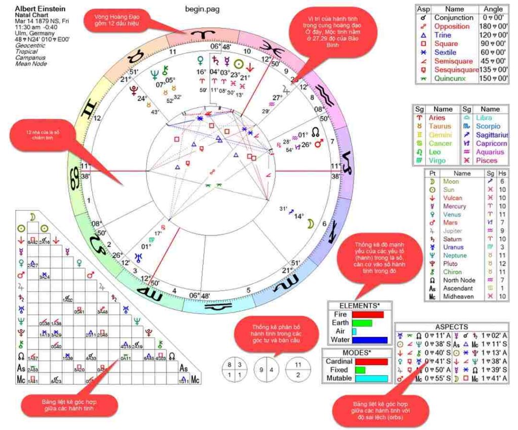 Chiêm tinh lá số là gì? Tìm hiểu về kiến thức chim tinh học ...